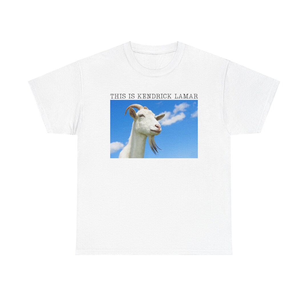 Kendrick Lamar Brain Rot Tee, Ironic Funny Meme T-shirt, Unhinged ...