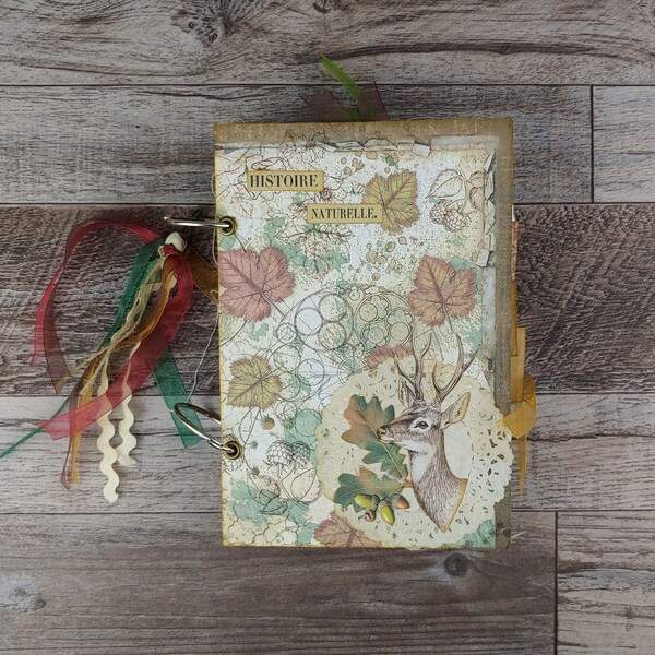 Stamperia Scrapbook Journaling - Etsy