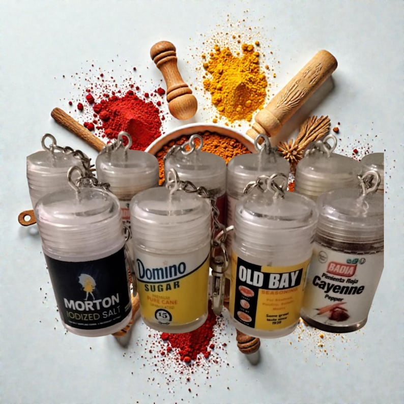 Travel Mini Seasoning Spices Keychains - Etsy