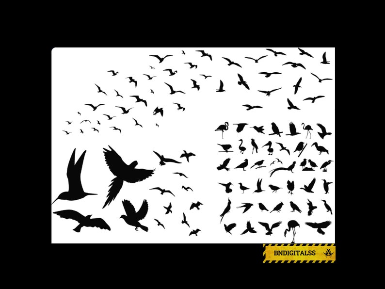 Bird Svg Bundle, Birds Svg, Birds Silhouette Svg, Flying Bird Svg ...
