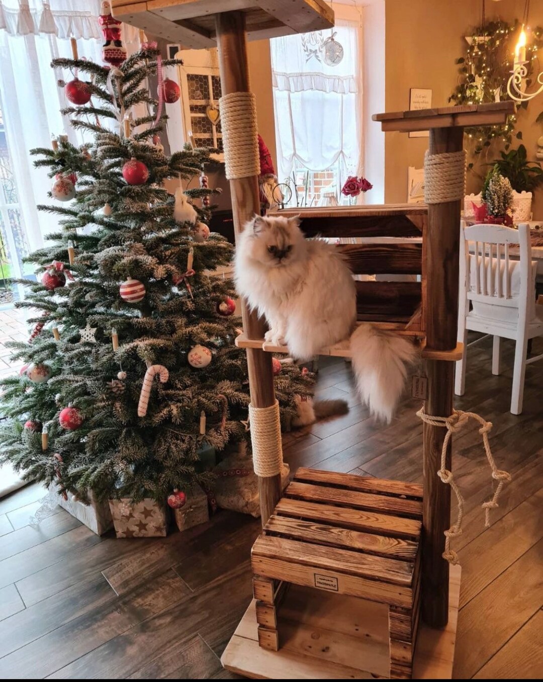 Handgefertigter Naturholz Kratzbaum Holz Katzenbaum Katze Kitten ...