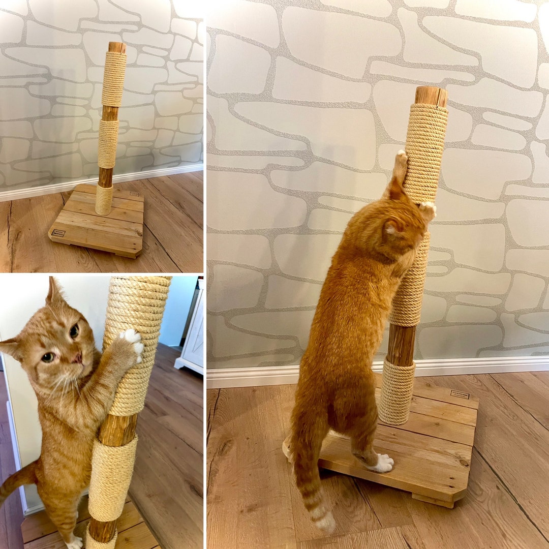 XXL Natural Scratching Post Cat Kitten Balcony Outdoor - Etsy