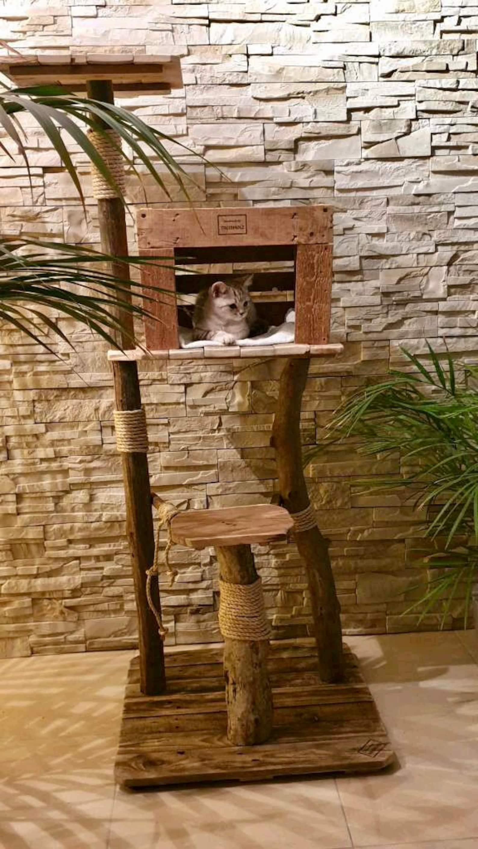 Natur Holz Katzenbaum Kratzbaum Katze Kitten Katzenhöhle Outdoor Balkon ...