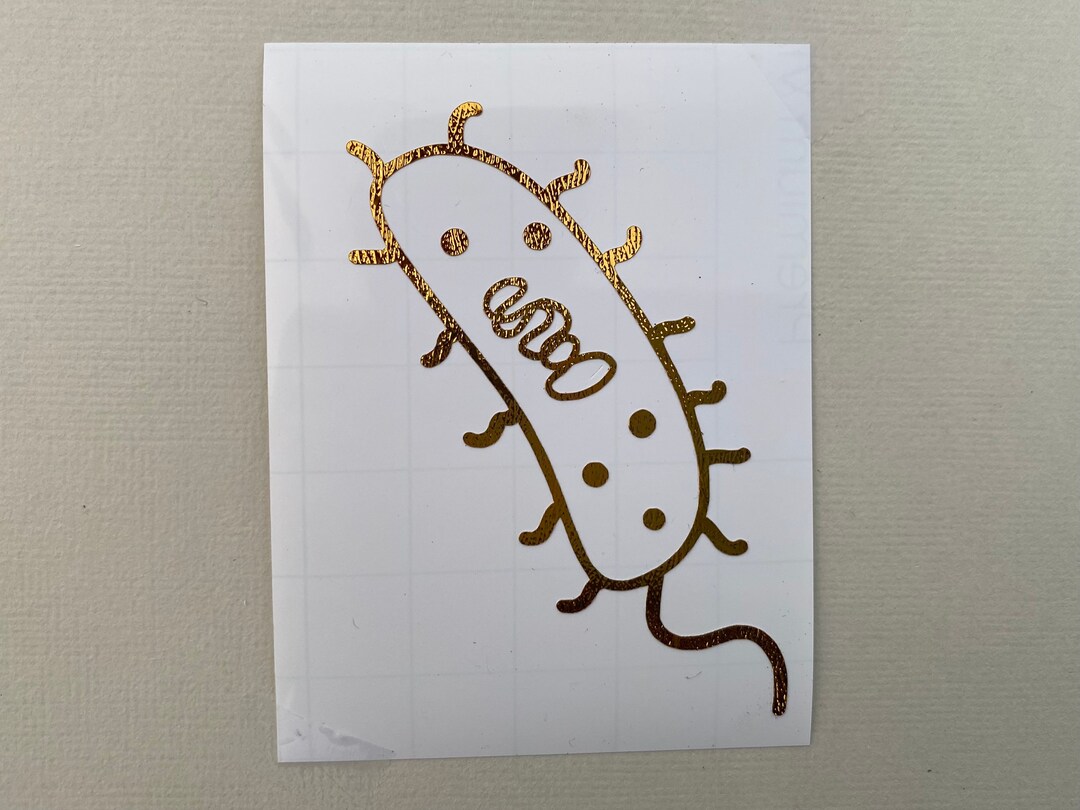 Bacteria Vinyl Decal - Etsy