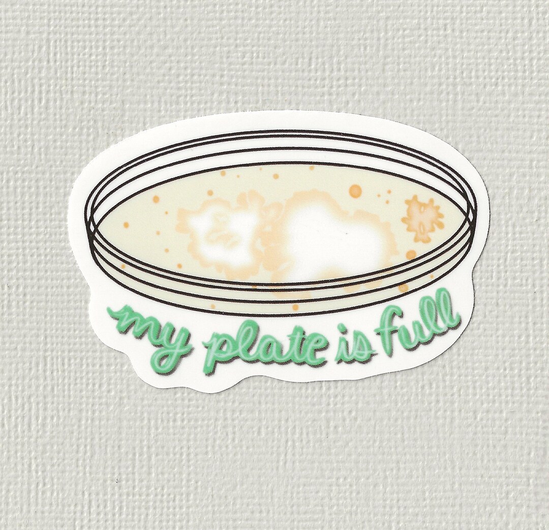 My Plate is Full - Etsy