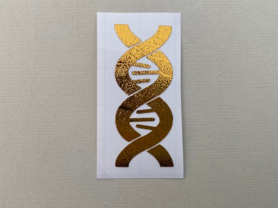 DNA Molecule Vinyl Decal - Etsy