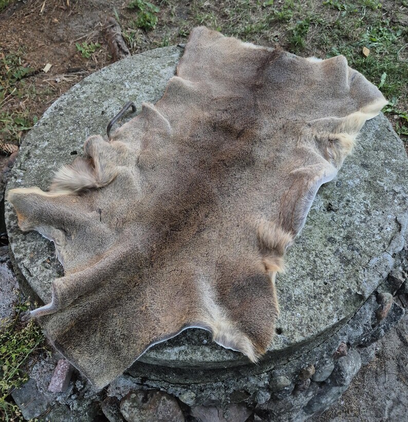 Roe Deer Hide Rug – Tanned Winter Pelt for Cabin Floor or Wall Display ...