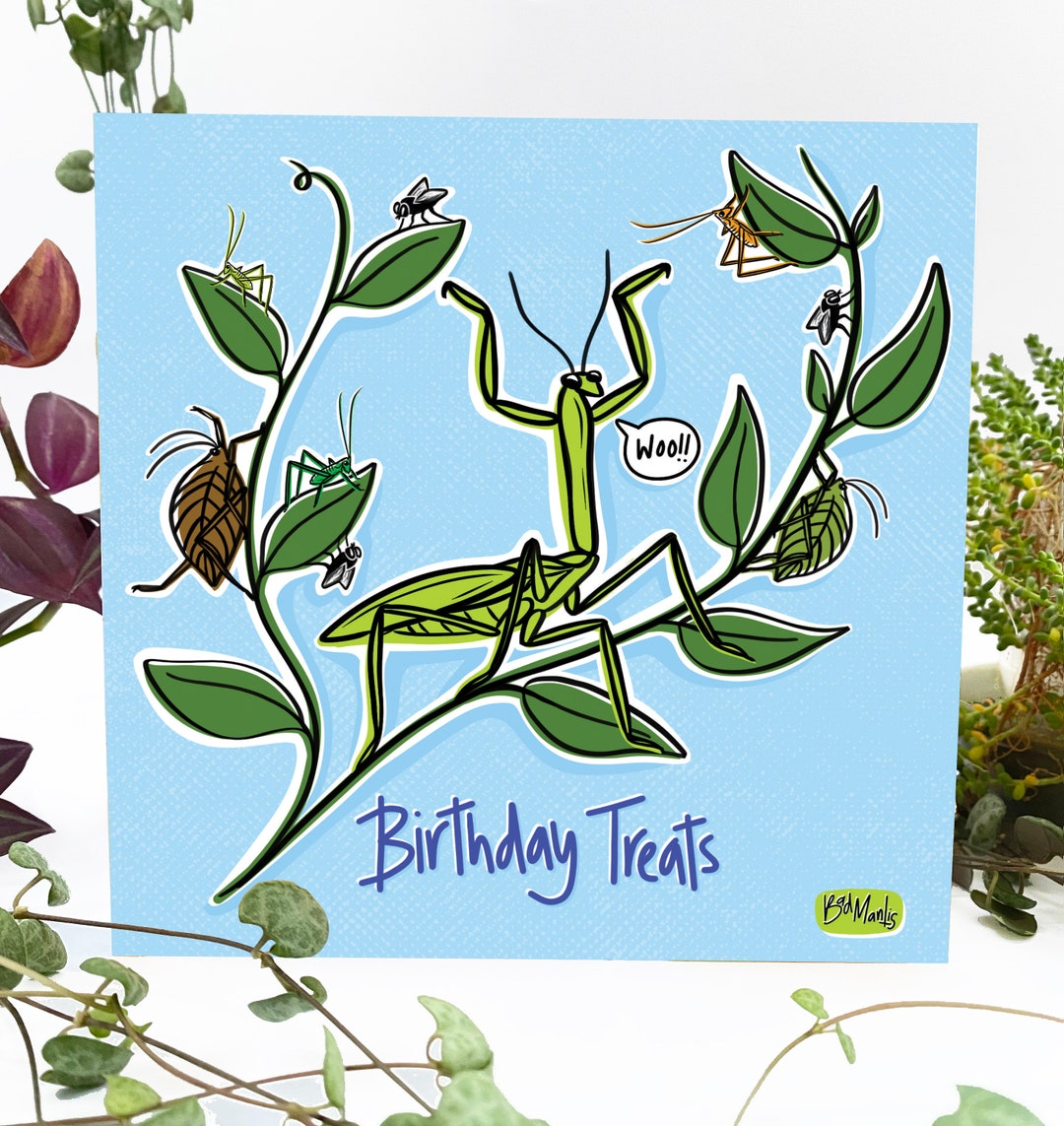 Praying Mantis Bug Insect Birthday Card - Birthday Treats - Etsy