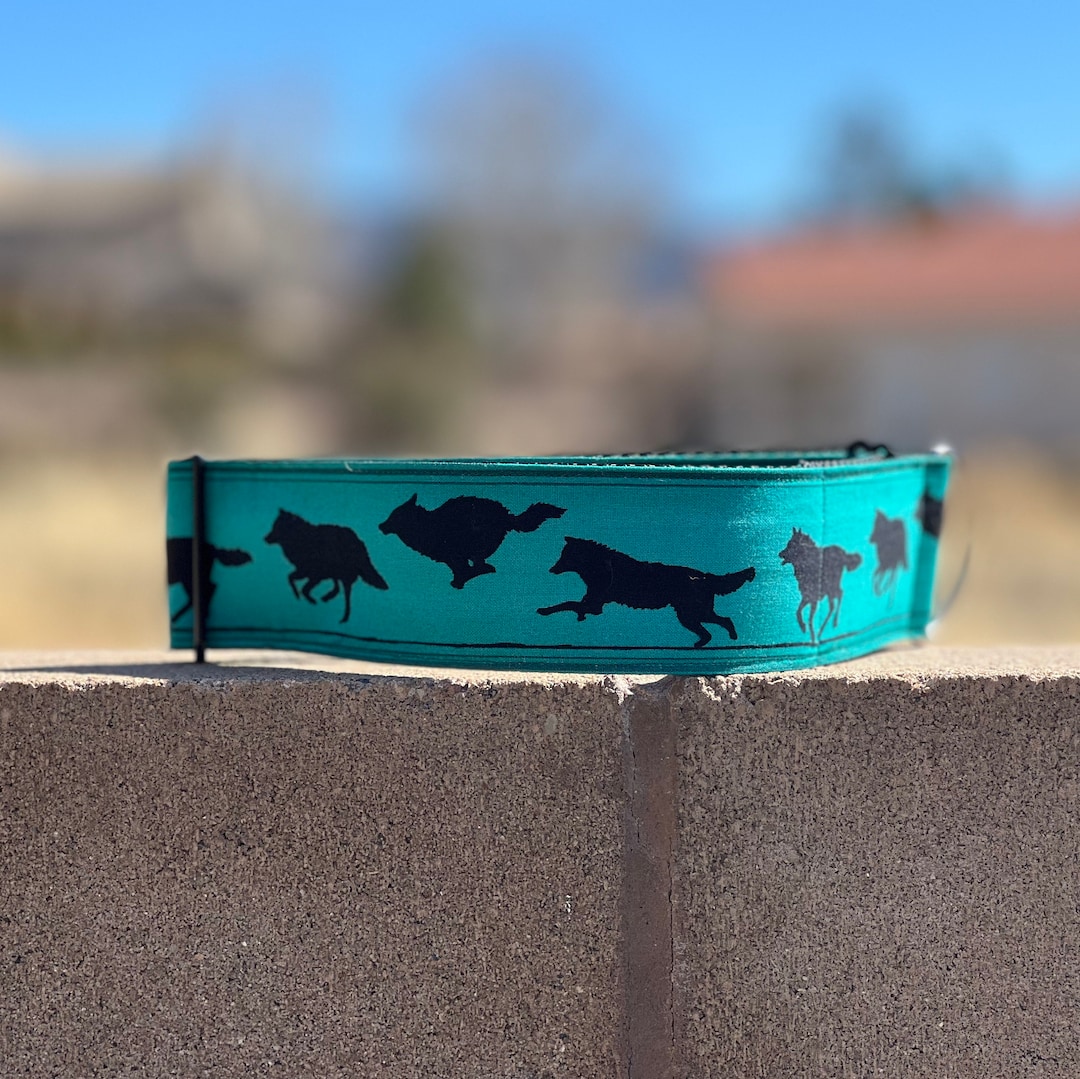 Dances With Wolves Dog Collar Southwestern Dog Collar Bright Dog Collar ...