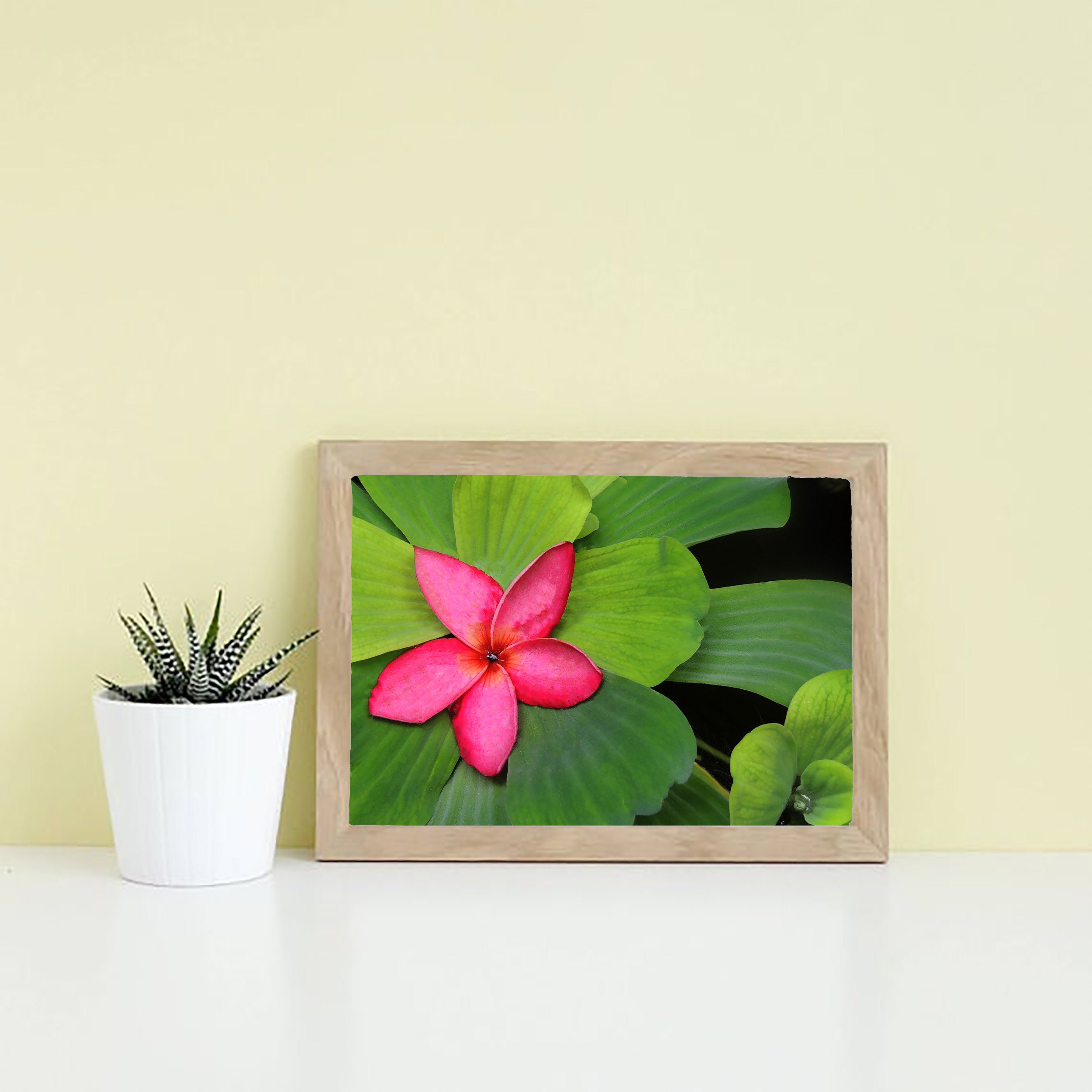 Digital Download, Pink Frangipani Wall Poster, Pink Green Poster ...