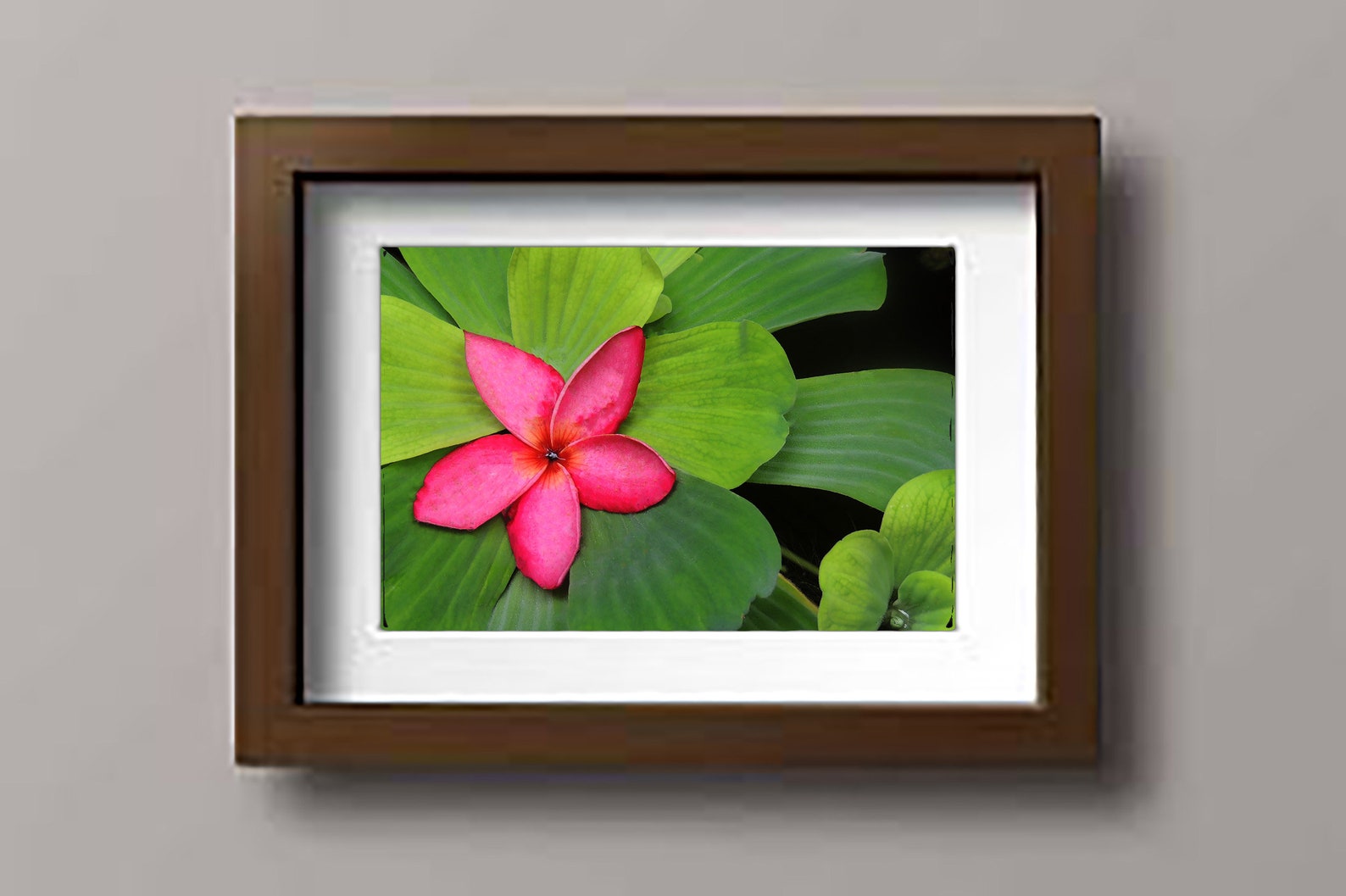Digital Download, Pink Frangipani Wall Poster, Pink Green Poster ...