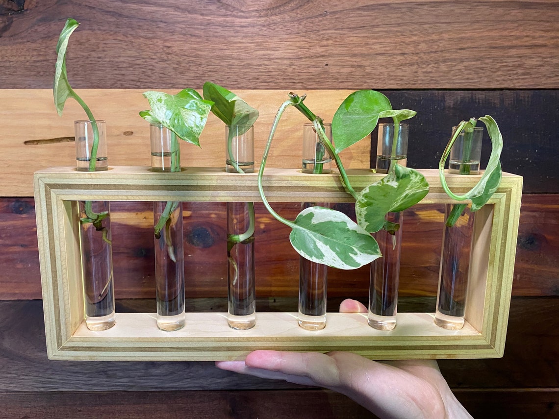 Propagation Station (6 Tube) - Etsy