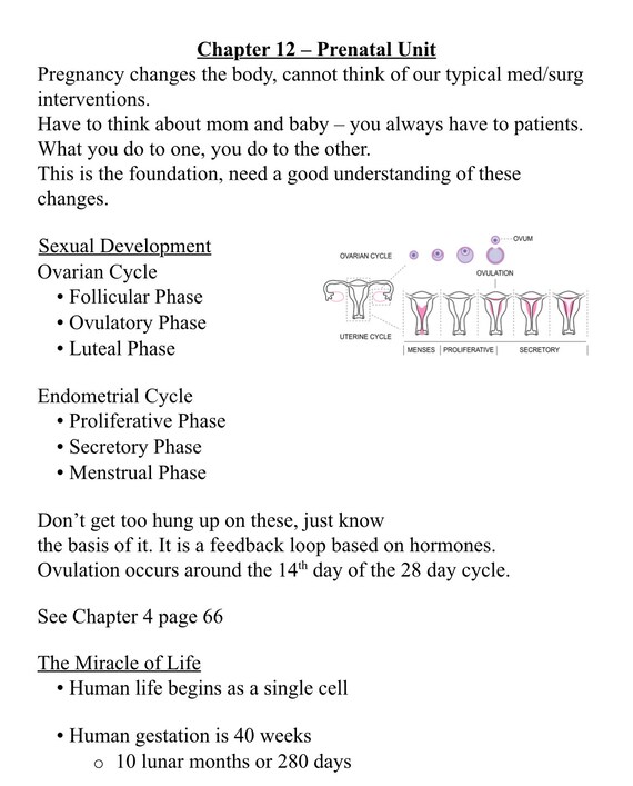 OB Nursing Notes | Etsy