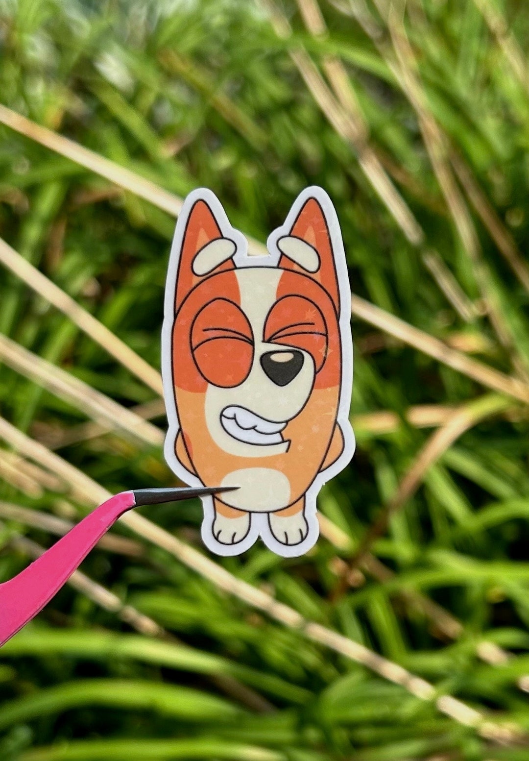 Bingo Smiling Holographic Sticker Water Resistant Sticker Water Bottle ...