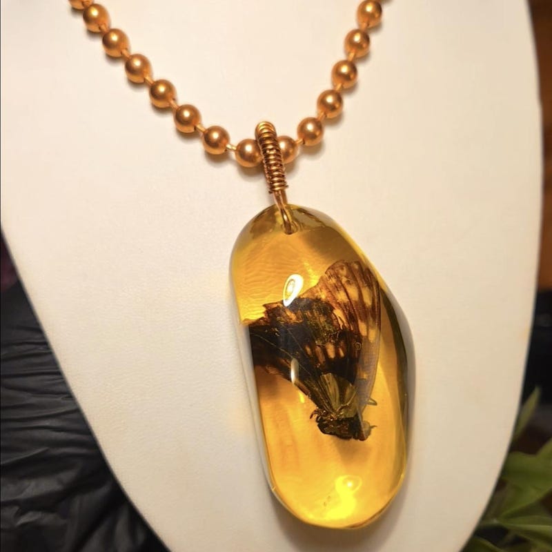 Ancient Butterfly Fossils - Etsy