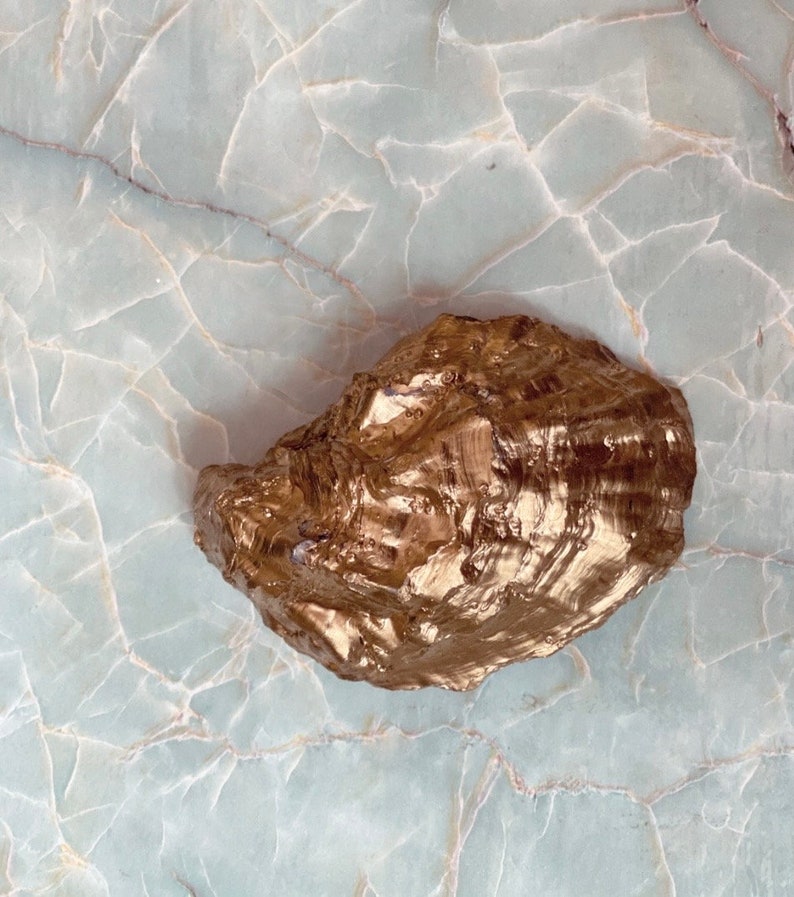 William Morris Sea Shells - Etsy