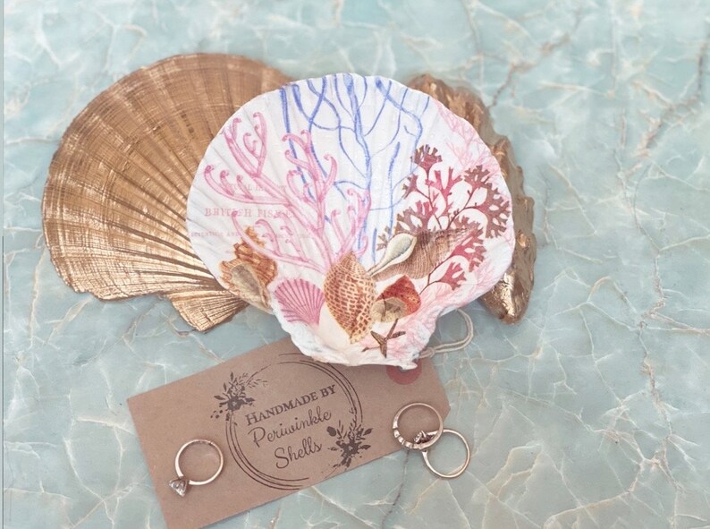 Under the Sea Seashells - Etsy