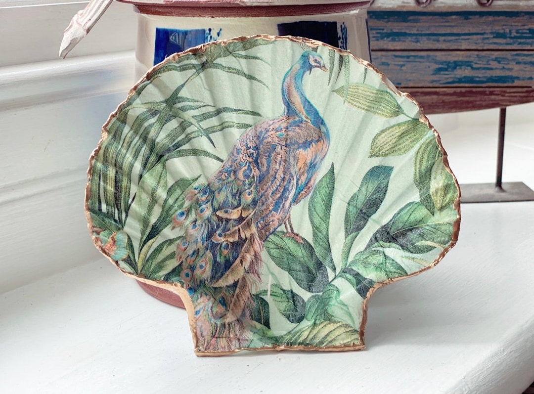 Peacock Scallop Shell Art - Etsy