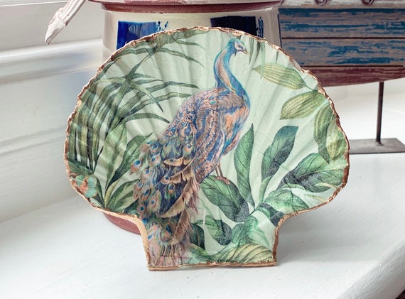 Peacock Scallop Shell Art - Etsy