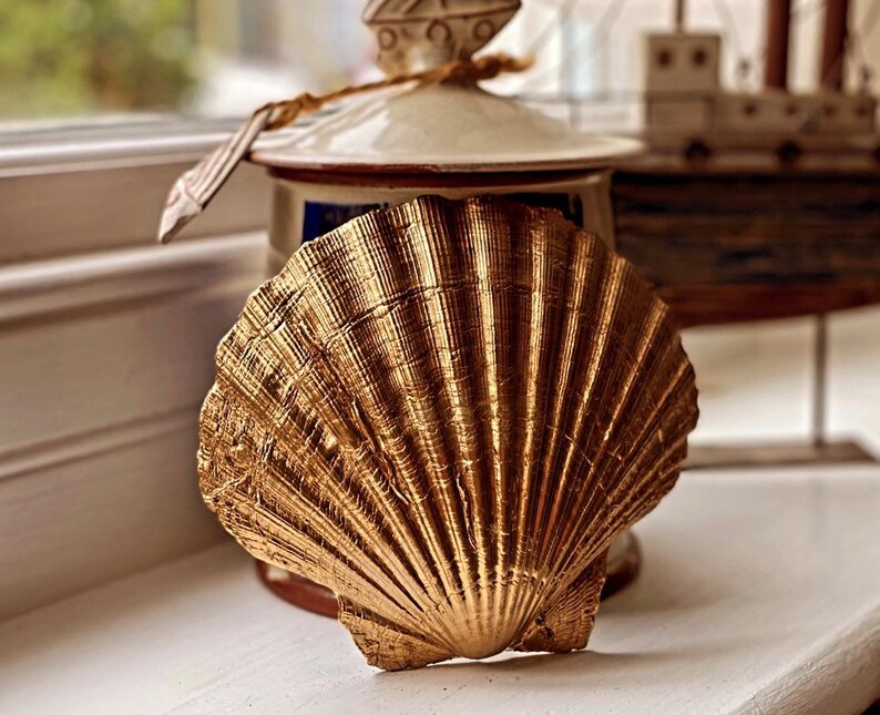 The Birth of Venus Scallop Shell Art - Etsy