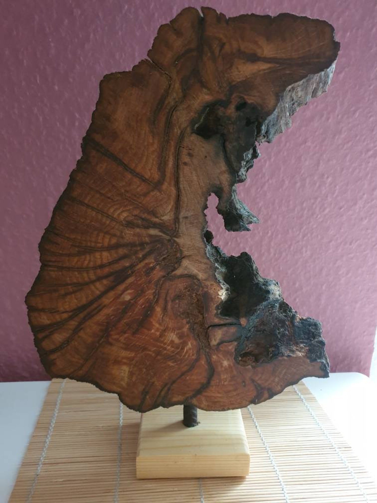 Tree root disc sculpture | Etsy