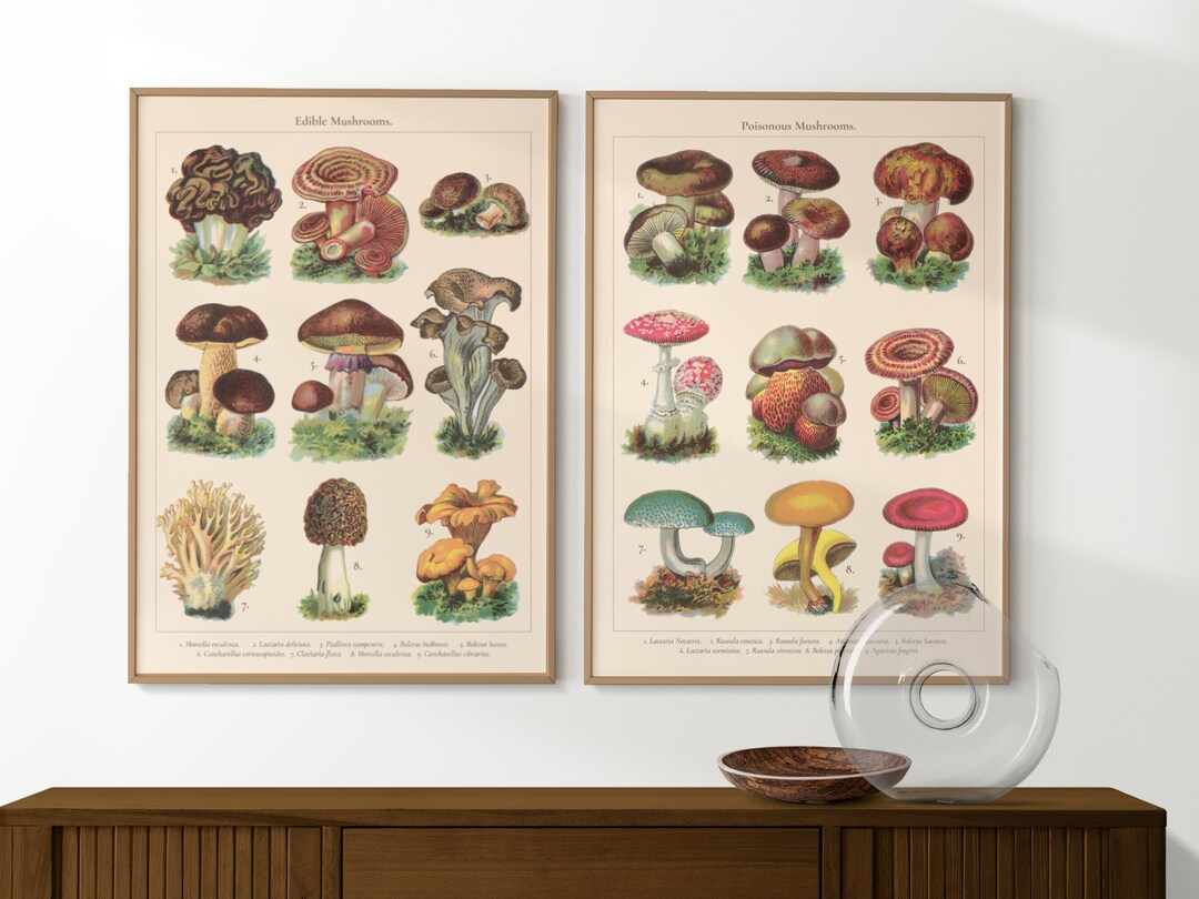 Vintage Mushroom Poster Printable Wall Art Kitchen Decor Botanical ...