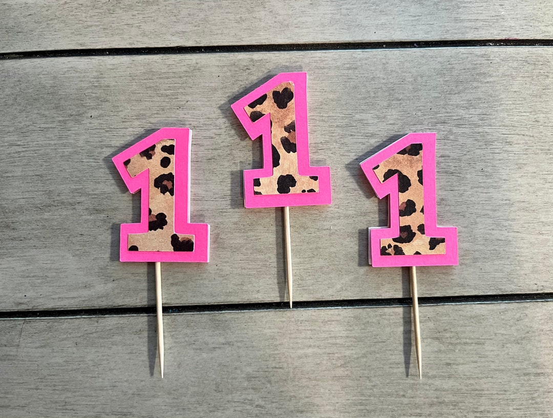 Cheetah Number & Letter Cupcake Toppers - Etsy