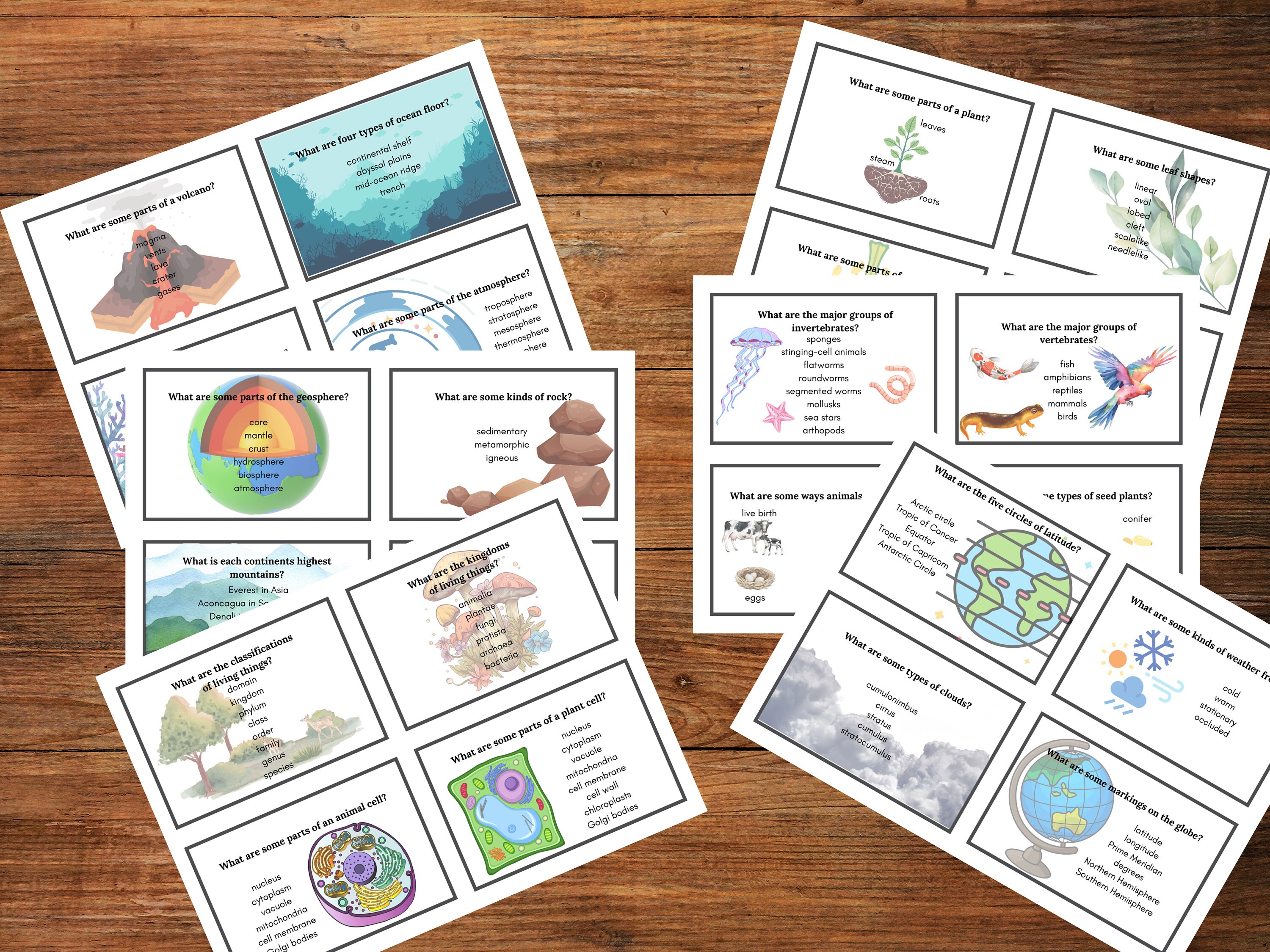 CC Cycle 1 Science, Memory Work Travel Flashcards, Classical ...
