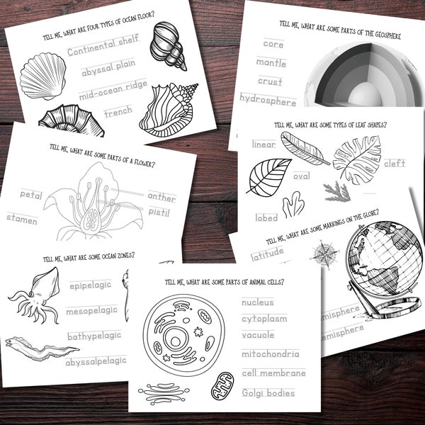 Classical Conversations Cycle 1 Science Worksheet - Etsy