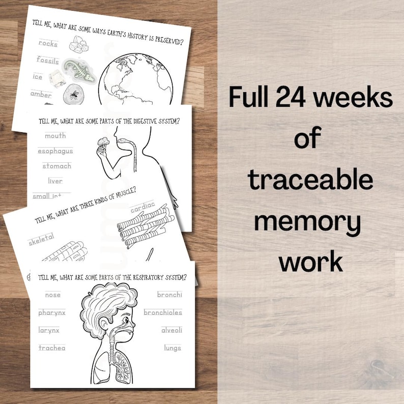 Classical Conversations Cycle 3 Science Worksheets: Coloring & Writing ...