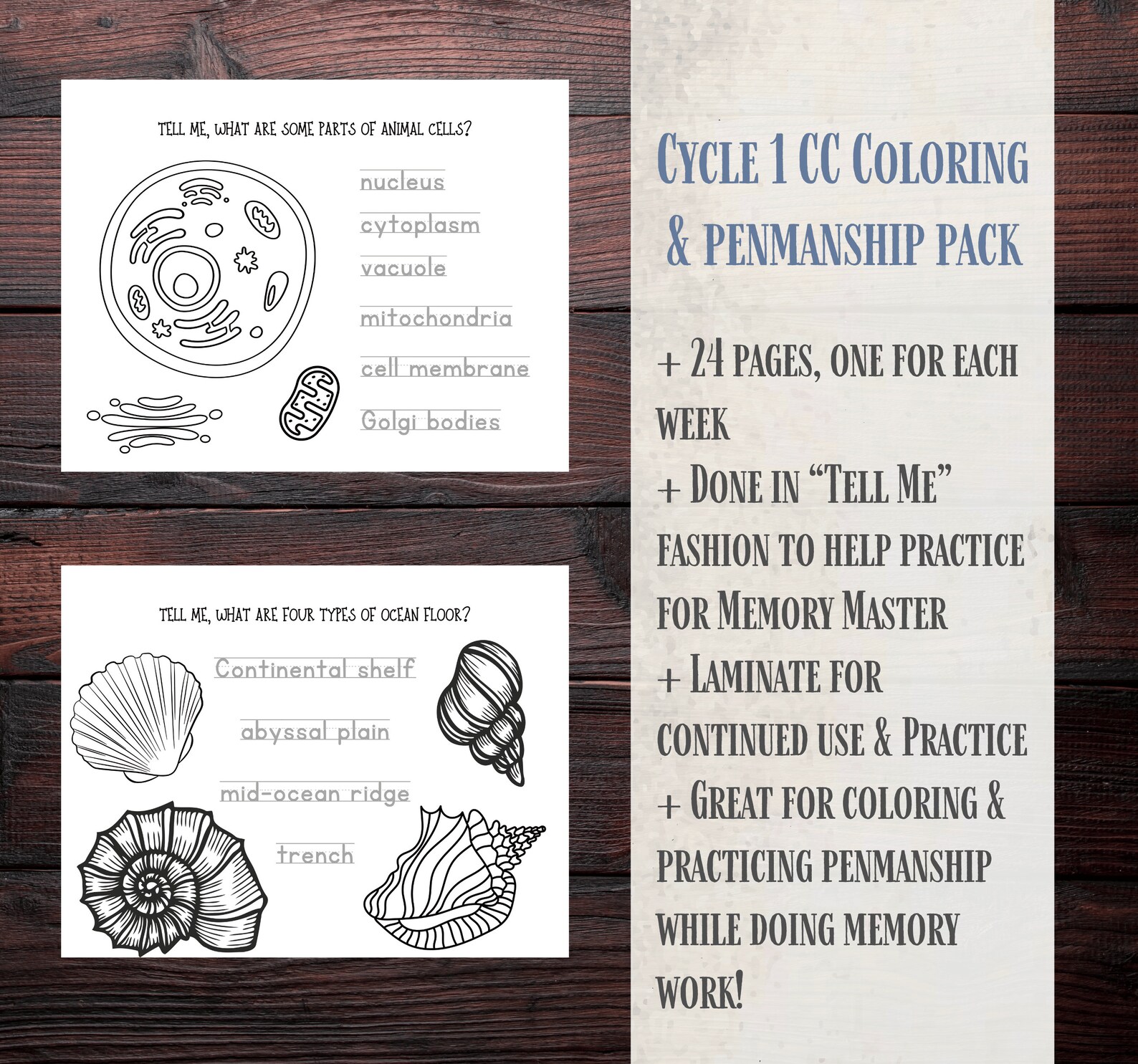 Cycle 1 Classical Conversations Science Coloring Worksheets, Memory ...