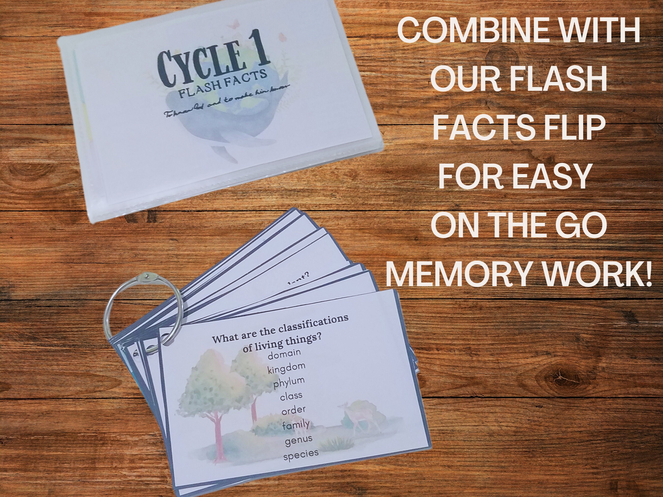 CC Cycle 1 Science, Memory Work Travel Flashcards, Classical ...