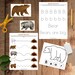 Letter B is for Bear: Preschool Activities (PDF Download) - Etsy