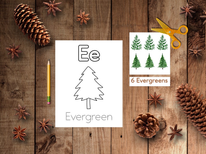 Evergreen Letter E Preschool Unit: Homeschool ABC Activities (PDF ...