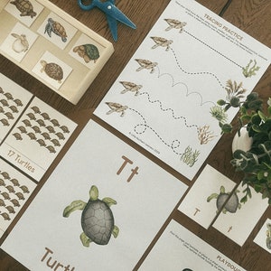Turtle Preschool Unit: Letter T Activities (PDF Download) - Etsy