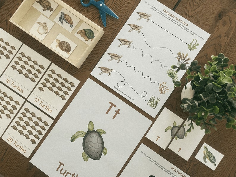 Turtle Preschool Unit: Letter T Activities (PDF Download) - Etsy