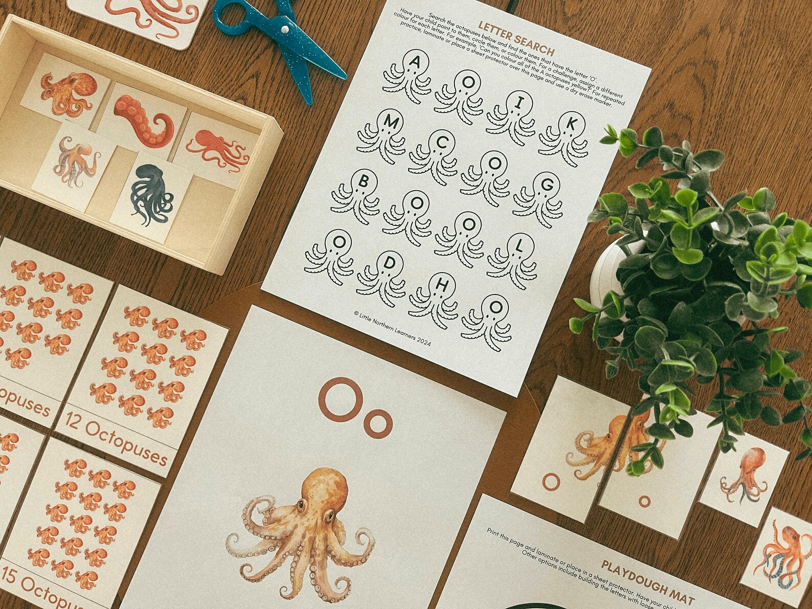 O is for Octopus Preschool Activities | Letter O Preschool Unit ...