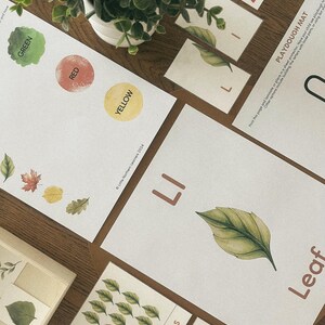 Letter L Leaf Theme Preschool Unit: ABC Activities (PDF Download) - Etsy