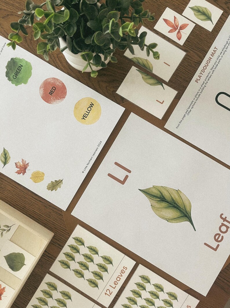 L is for Leaf Preschool Activities | Letter L Preschool Unit ...