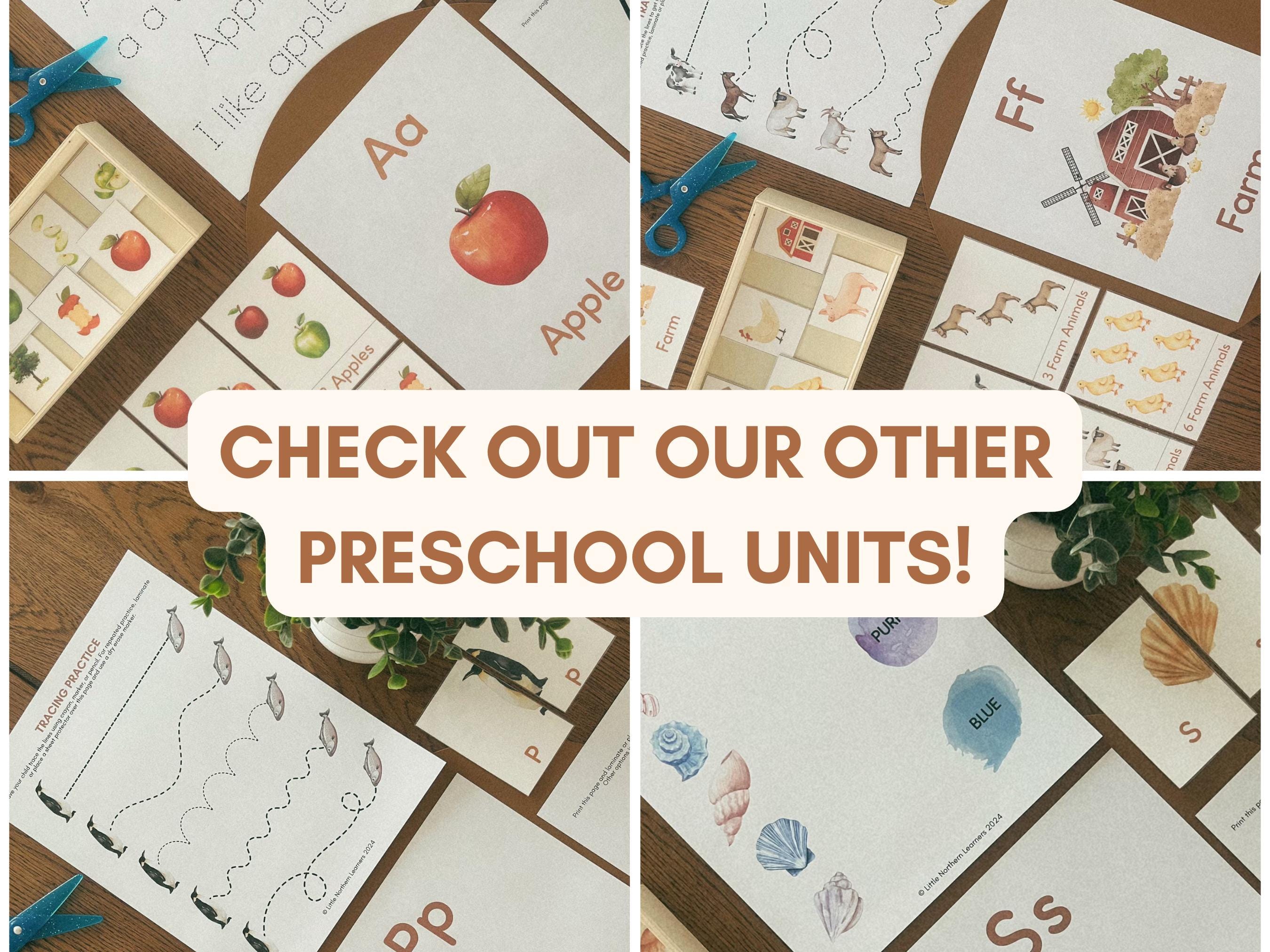 Turtle Preschool Unit: Letter T Activities (PDF Download) - Etsy