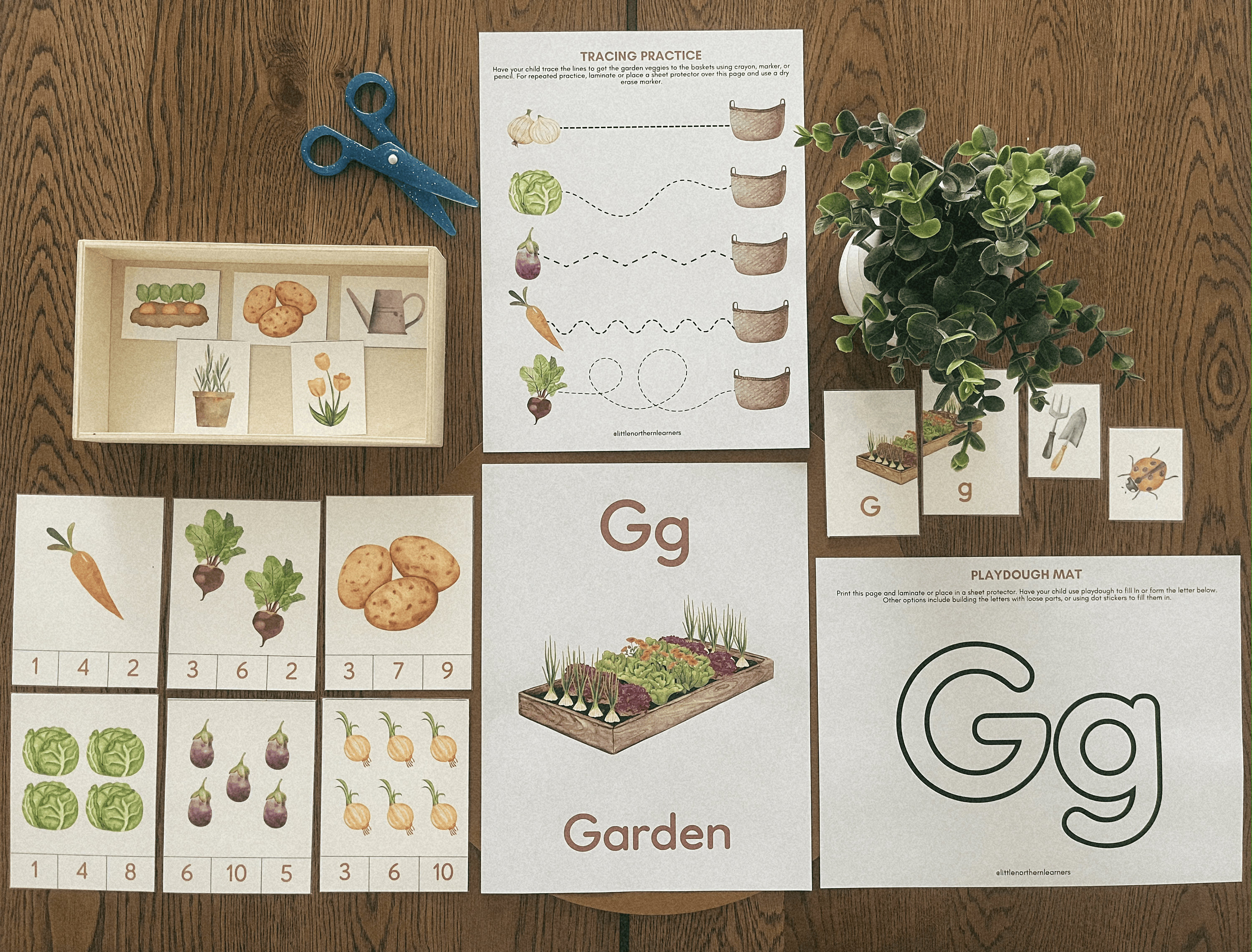 Letter G Garden Theme Preschool Unit: ABC Activities (PDF Download) - Etsy