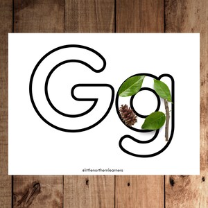 Letter G Garden Theme Preschool Unit: ABC Activities (PDF Download) - Etsy