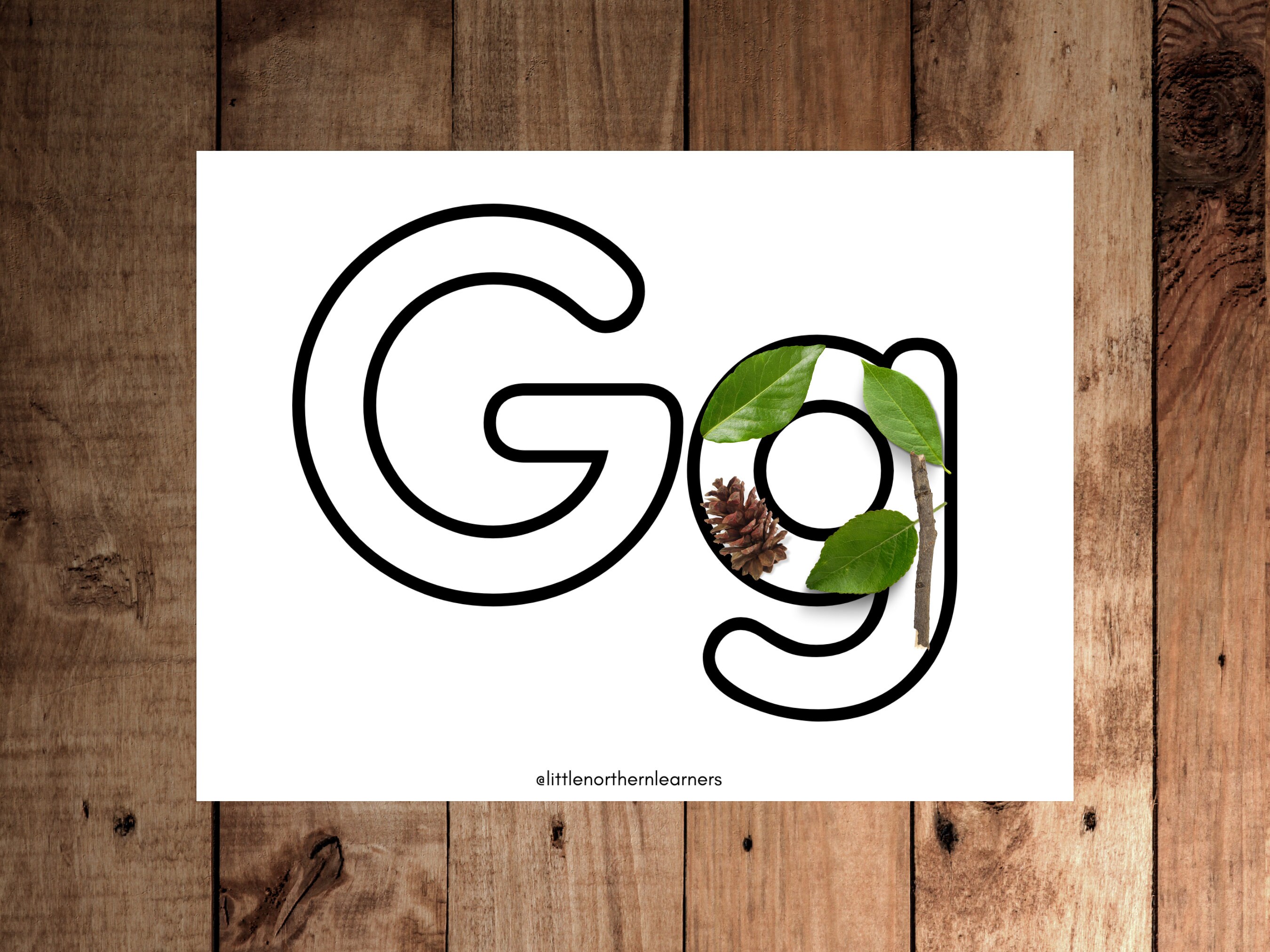 Letter G Garden Theme Preschool Unit: ABC Activities (PDF Download) - Etsy