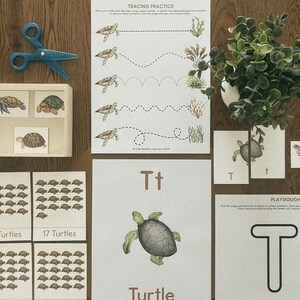 Turtle Preschool Unit: Letter T Activities (PDF Download) - Etsy