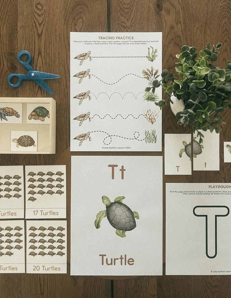 Turtle Preschool Unit: Letter T Activities (PDF Download) - Etsy