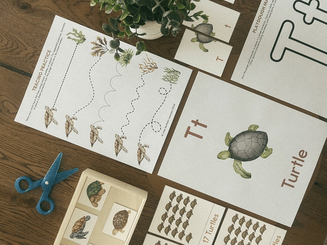 Turtle Preschool Unit: Letter T Activities (PDF Download) - Etsy