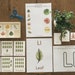 Letter L Leaf Theme Preschool Unit: ABC Activities (PDF Download) - Etsy
