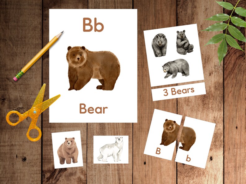 Letter B is for Bear: Preschool Activities (PDF Download) - Etsy