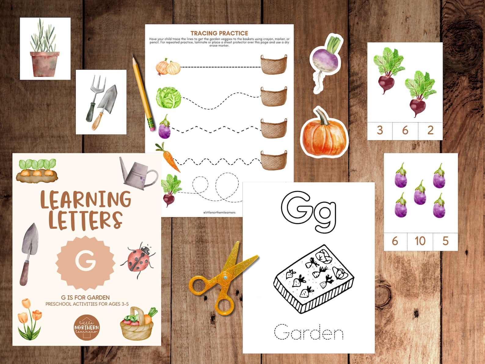 Letter G Garden Theme Preschool Unit: ABC Activities (PDF Download) - Etsy