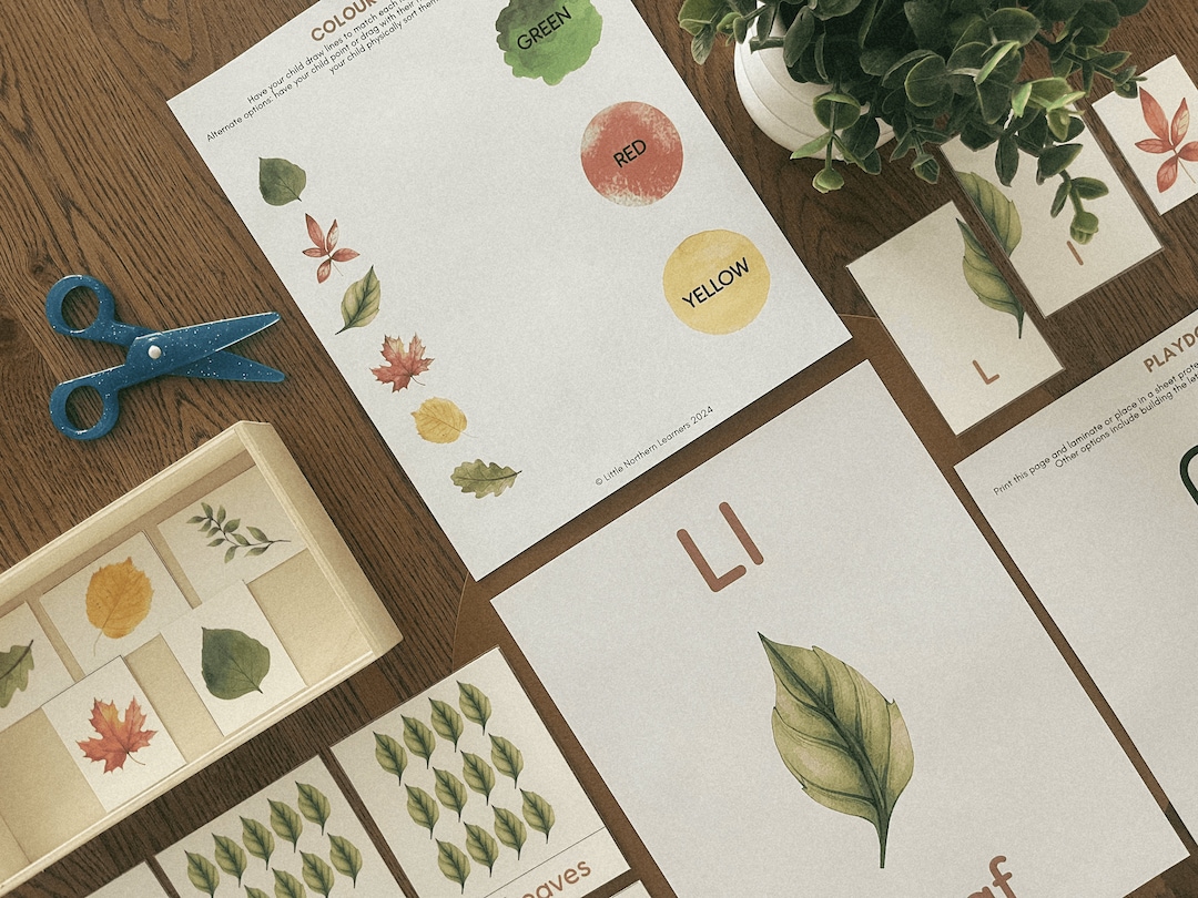 L is for Leaf Preschool Activities | Letter L Preschool Unit ...